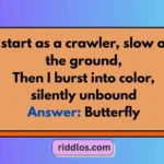 235+ Riddles About Cards That Will Shuffle Your Brain 2025 (Updated)