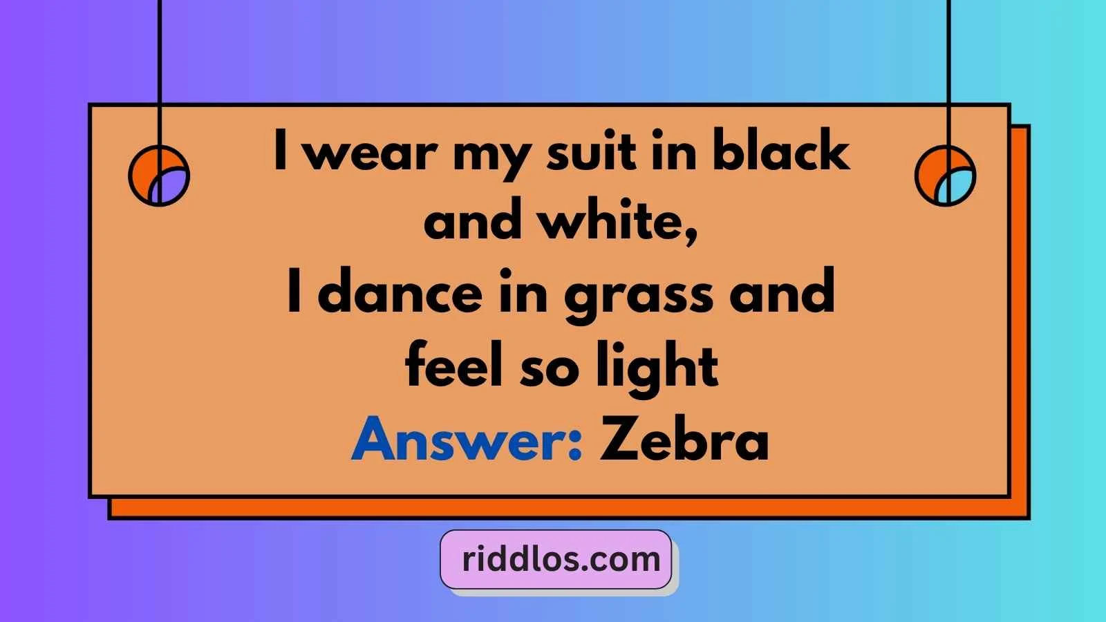 283+ Zebra Riddles Fun Genius Puzzles for Kids and Adults